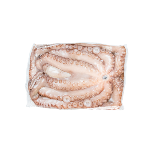 Whole Octopus