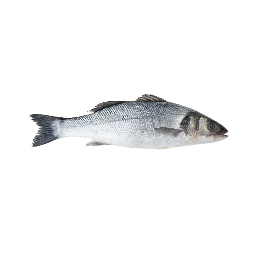 Fresh Sea Bass Whole