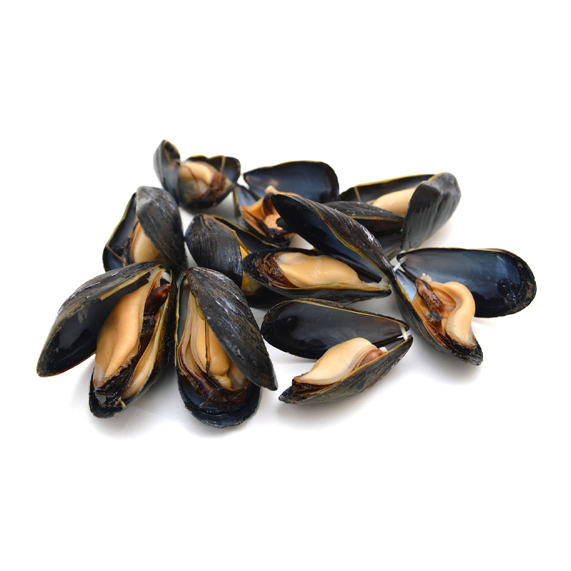 Fresh Extra Dutch Mussel