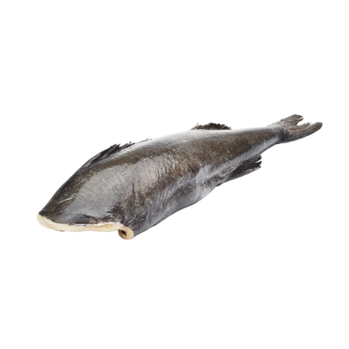 Headless Black Cod