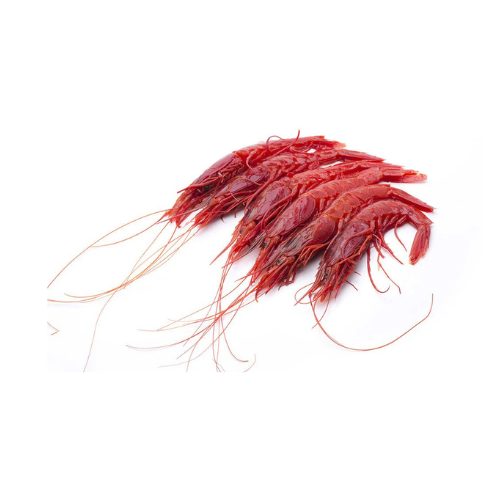 Frozen Giant Red Carabinero Shrimps/Prawns 9/12