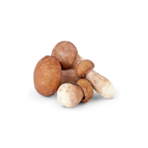 Whole Cèpes Mushroom, 2-4cm
