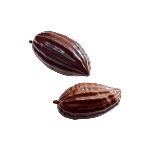 Cocoa Pod Mold