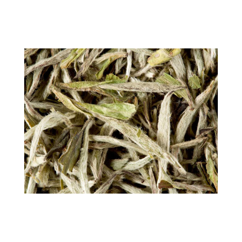 Premium Yin Zhen White Tea