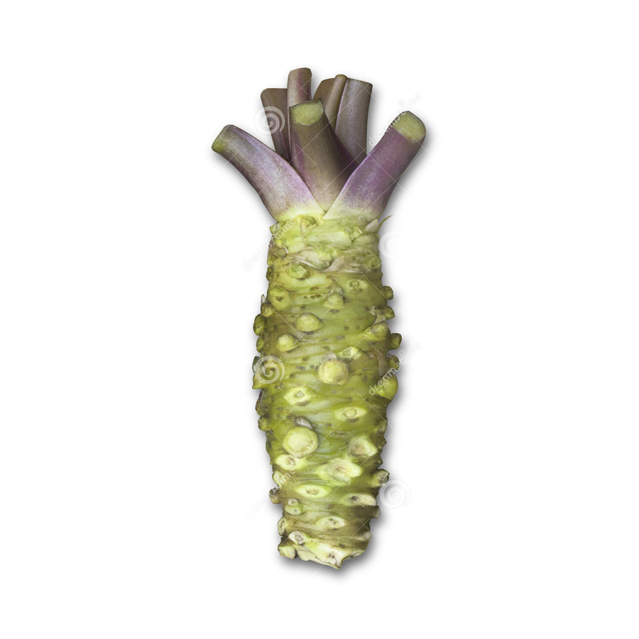 Fresh Wasabi Roots, Size L, 150g Approx.